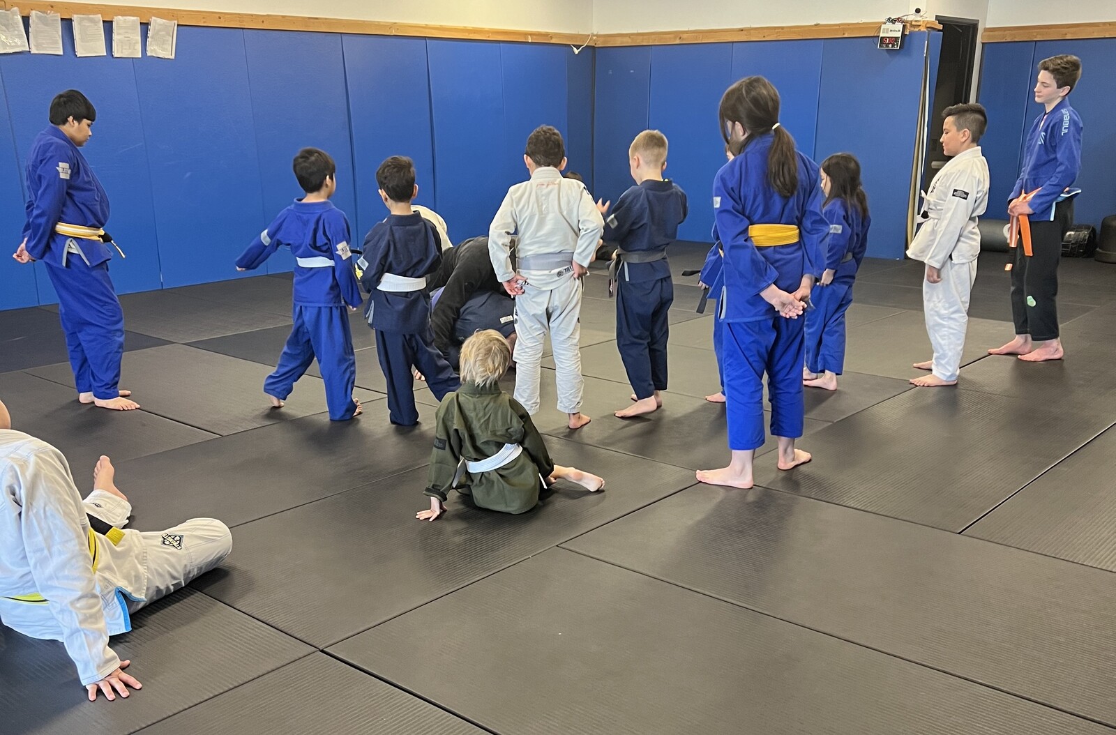 Premier Brazilian Jiu Jitsu School in Hutto TX for Kids & Adults- Hutto BJJ